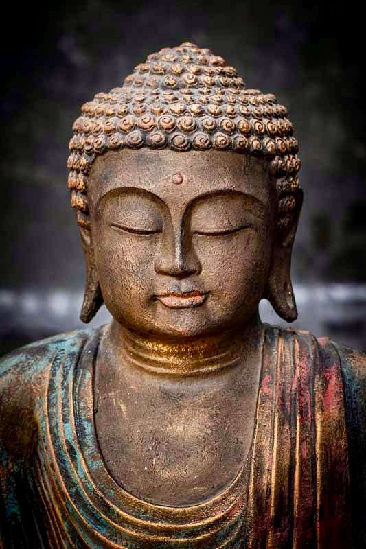 Sesshin over: Hoe zit je in je vel? | Zen.nl